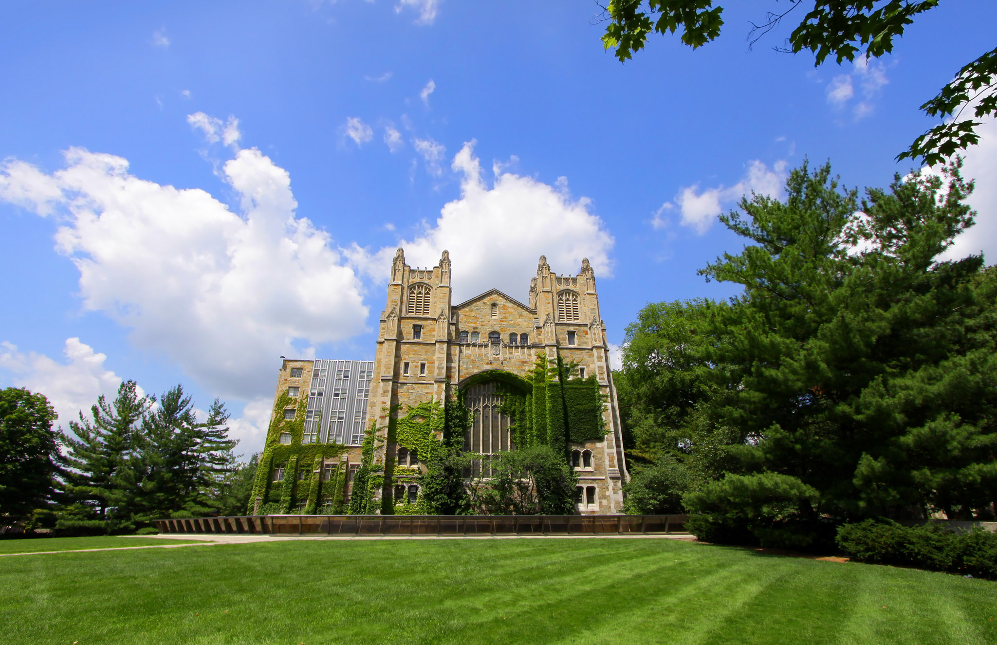 University Of Michigan Lab Work - Sky Foundation Inc